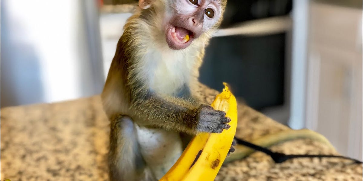 But they had nothing to say - by Michael Clarage