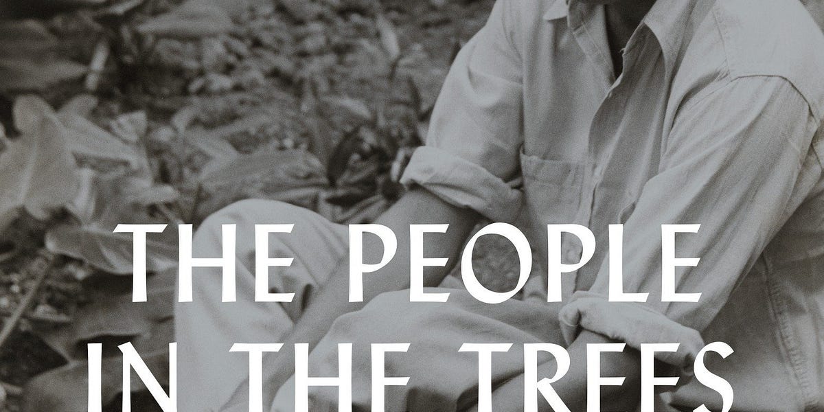 people in the trees - jelly_diaries