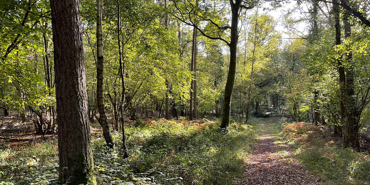 Welcome to Bentley Wood - Friends of Bentley Wood