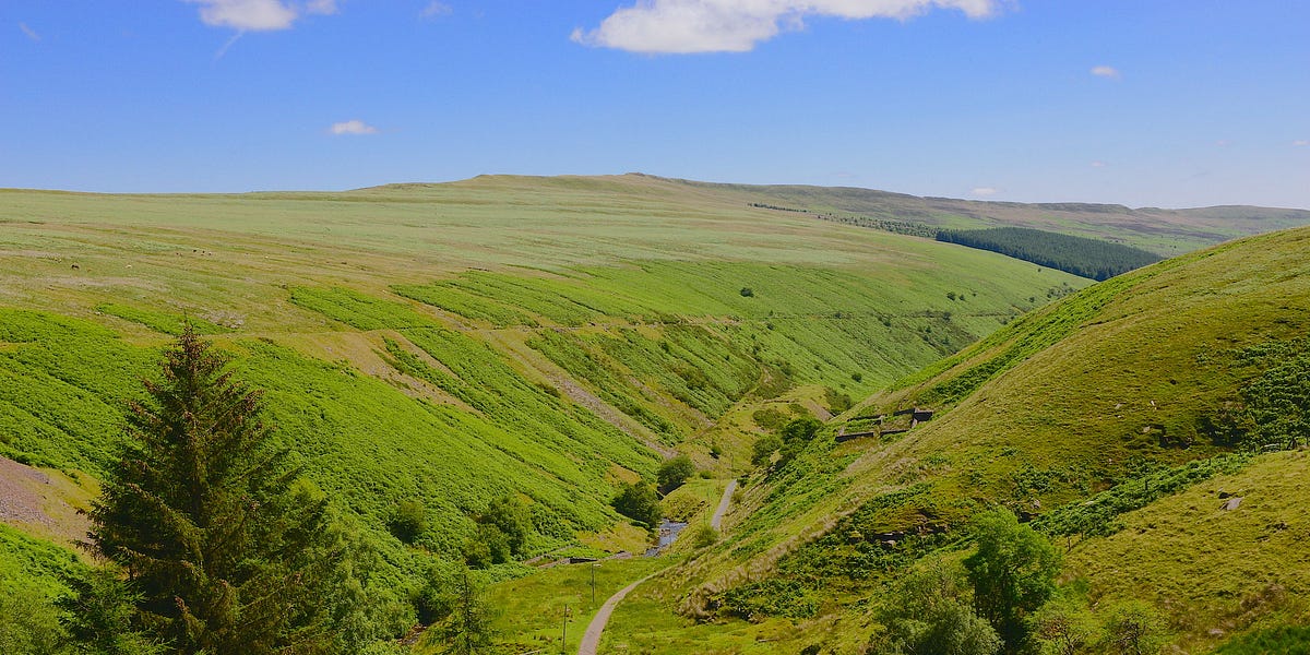 The Devolution of Humanity into Civilisation - by Maheesha