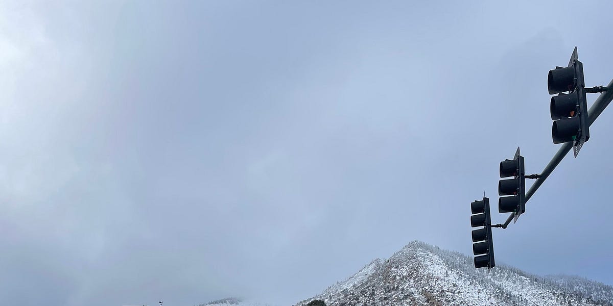 What's Good, 2022 - Marissa Flaxbart's Metaforia