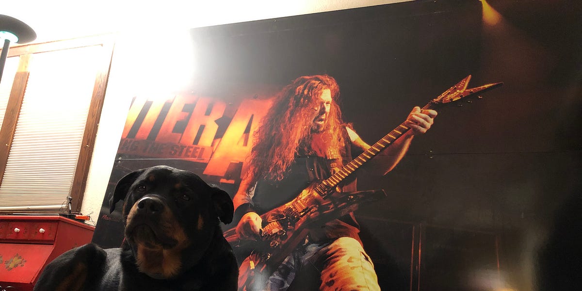 Pantera is Better than Your Favorite Band - DJB1983