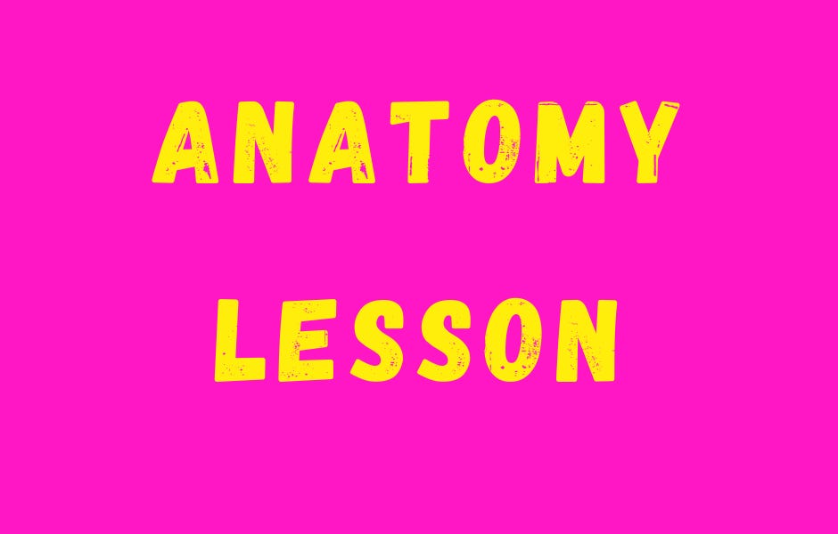Vaginal Check: Anatomy Lesson - by Shanisha