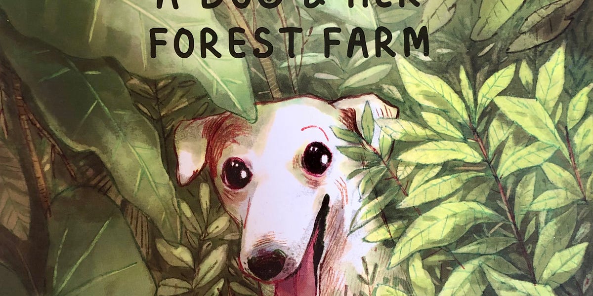 Chitty: A Dog and her Forest Farm - by Roopa Baliga