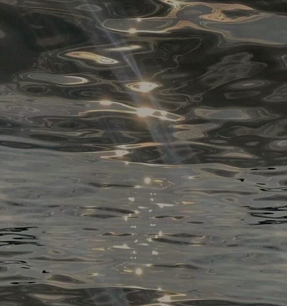 Desandar - by Marcelo Schnock - Palabra Labrada