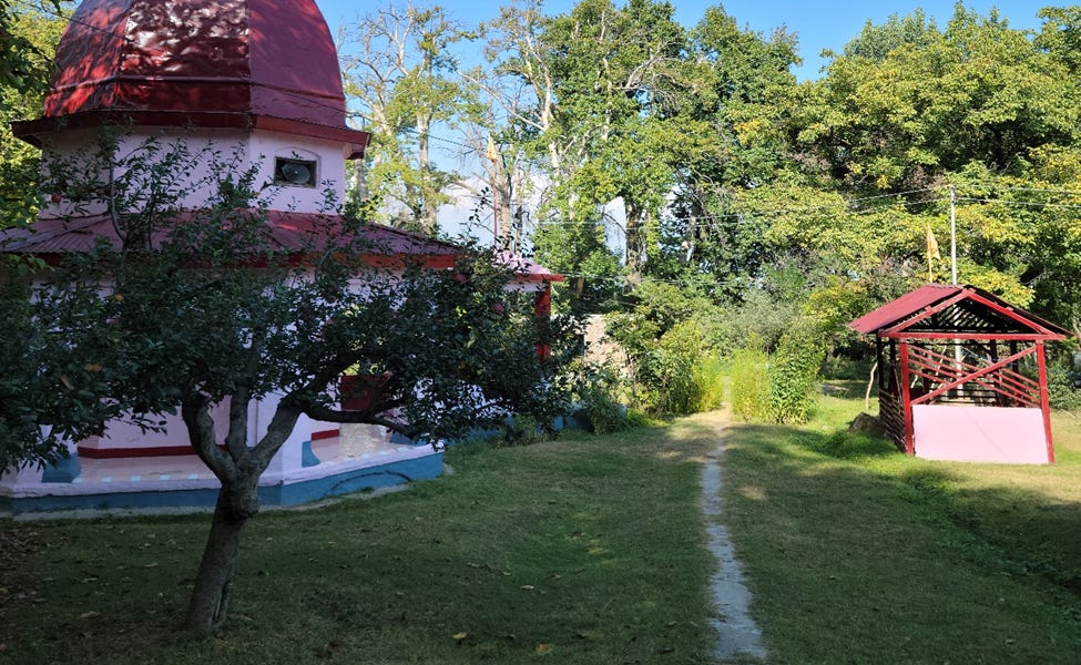 Noisy India - Vasant Dhar's Brave New World