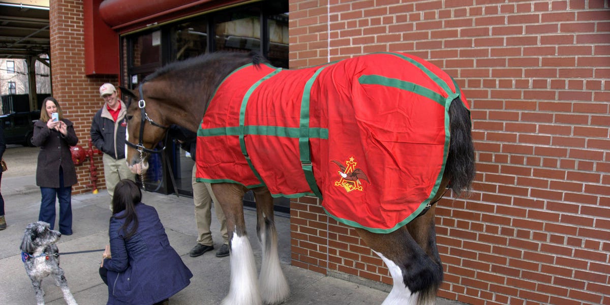 Meet the Howards of Eden Place Farms - by Bob Benenson