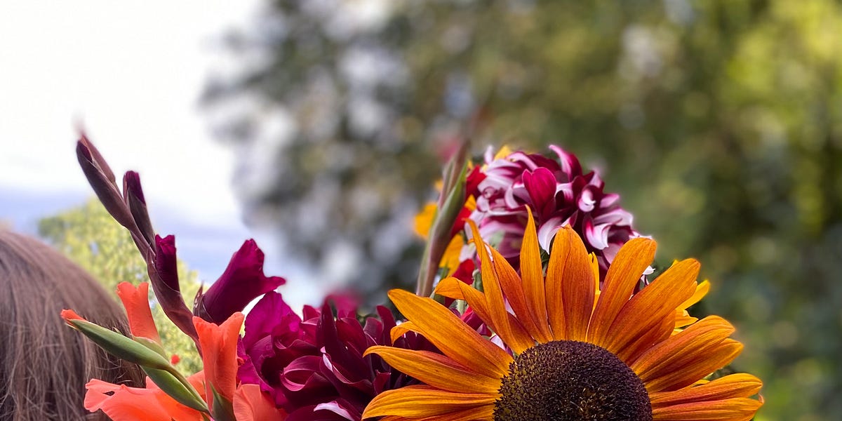 yarnstorm sundae - by Jane Brocket - yarnstorm