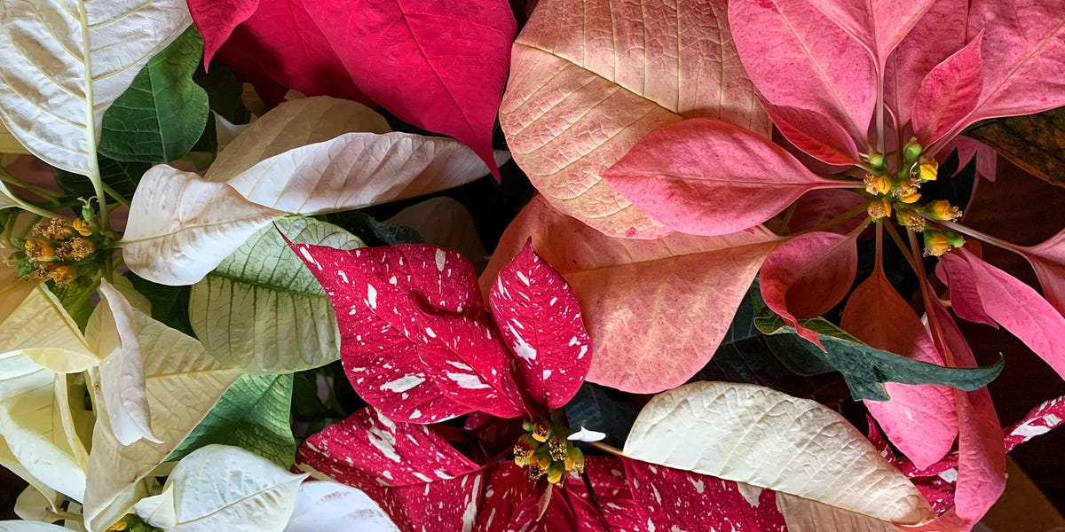 The Best of 2022 - by Katie Calautti