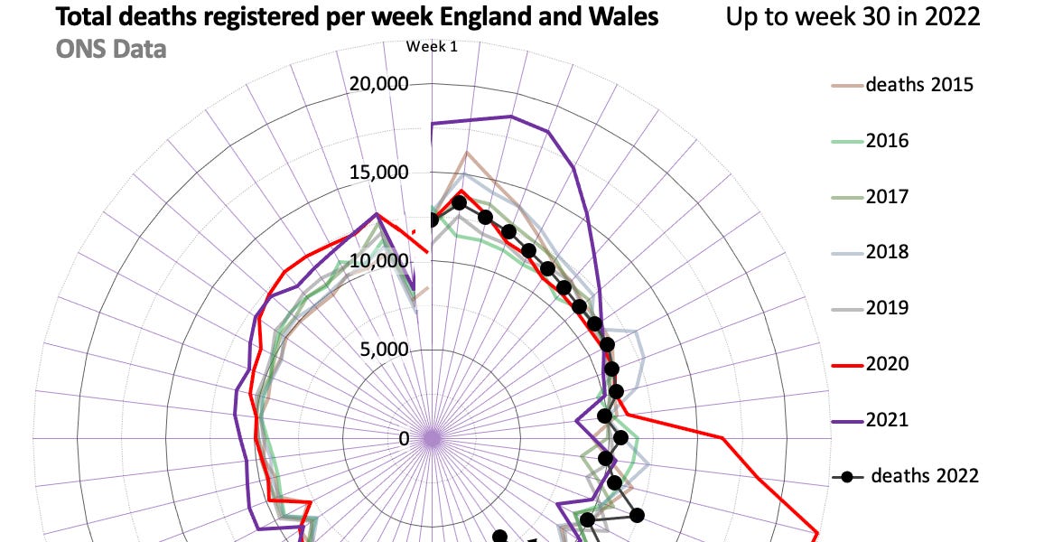 Why it's time to Investigate Excess Deaths in England and Wales