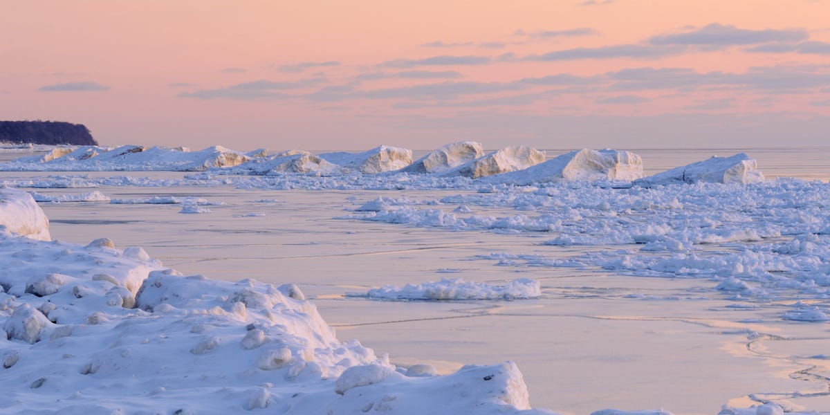 The Misappearance of Steven Kubacki - by Ellen Killoran