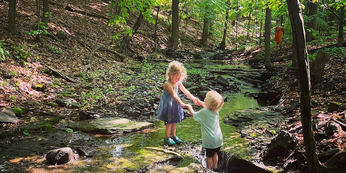 TO DO - by Caroline Manring