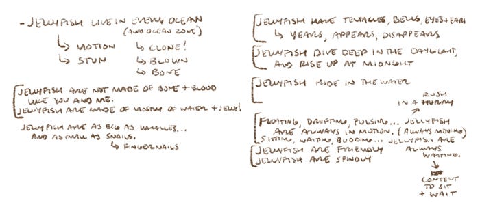 5. Writing the First Draft Manuscript