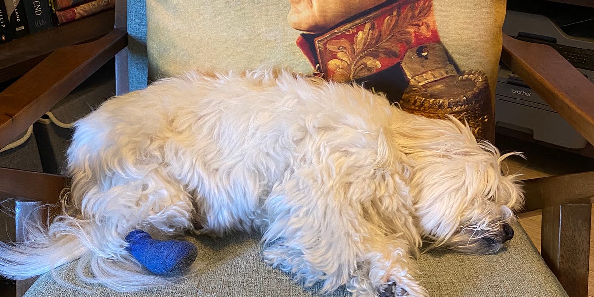 The story finds you - by Michael Estrin - Situation Normal