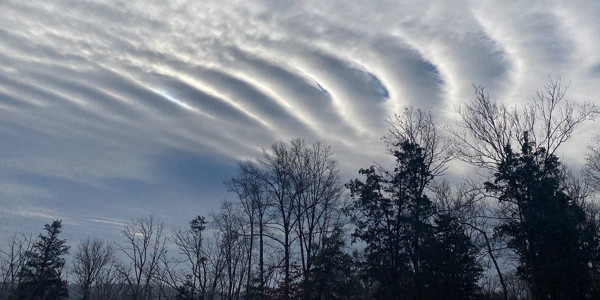 Sky views of 2021 - by david mohney - Make Our Garden Grow