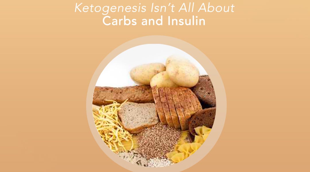017: Ketogenesis Isn’t All About Carbs and Insulin