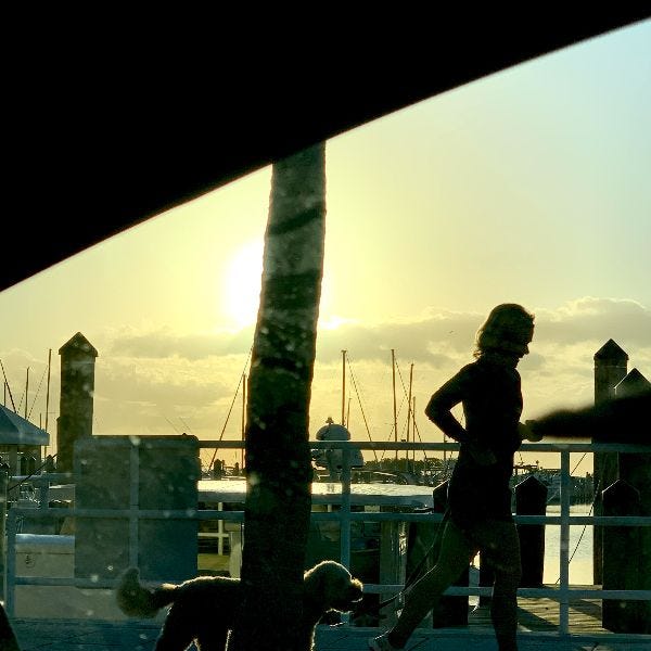 What Do You Do? - Visual Storytelling Newsletter