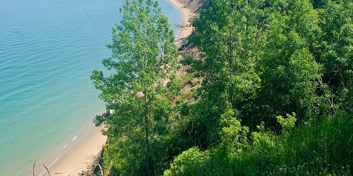 The Recombobulation Area Turns 1 - by Dan Shafer