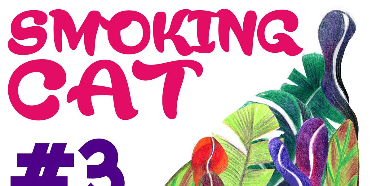 Smoking Cat #3 - by smokingcat - Smoking Cat