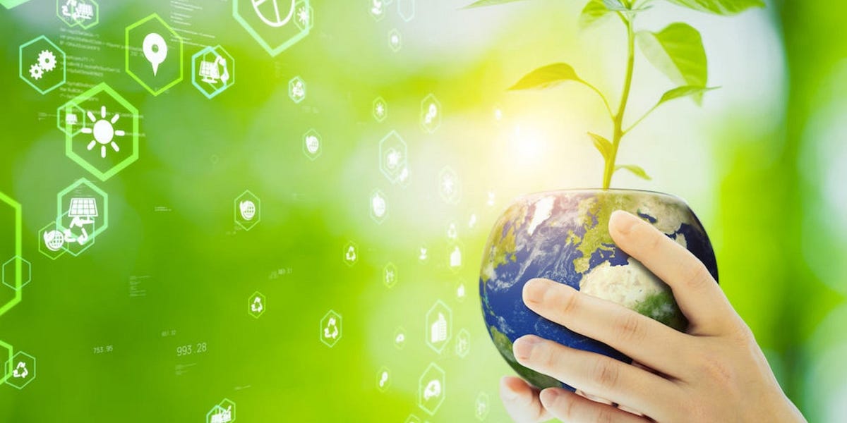 Tmall Supermarket Launches Products Showing Carbon Footprint in QR Code