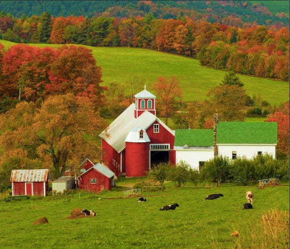 Farm Bill: After Three Failed Decades of No Reform, Isn’t it Time to ...