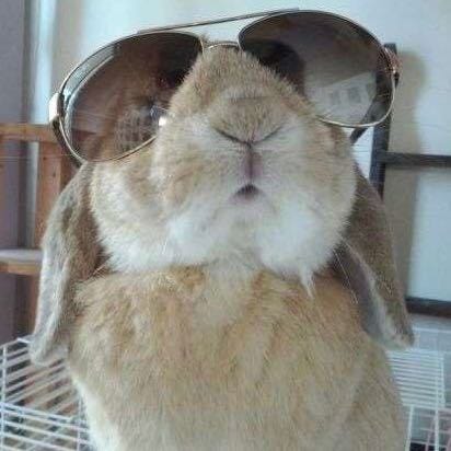 China’s next step on COVID, as estimated by Chairman Rabbit