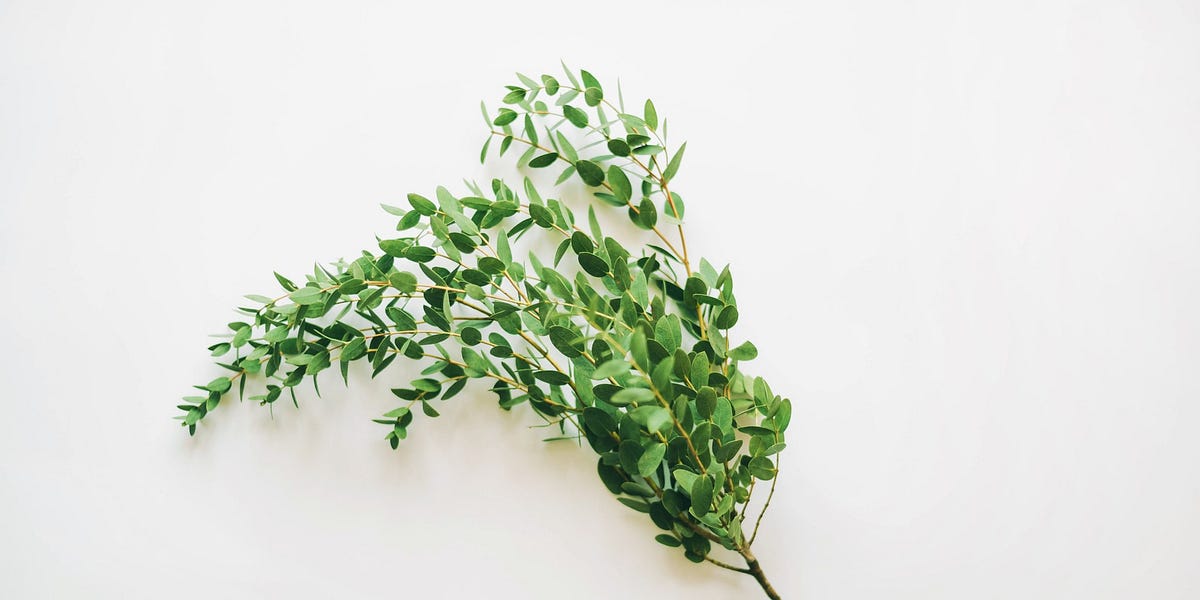 The Problem With Constant Connection