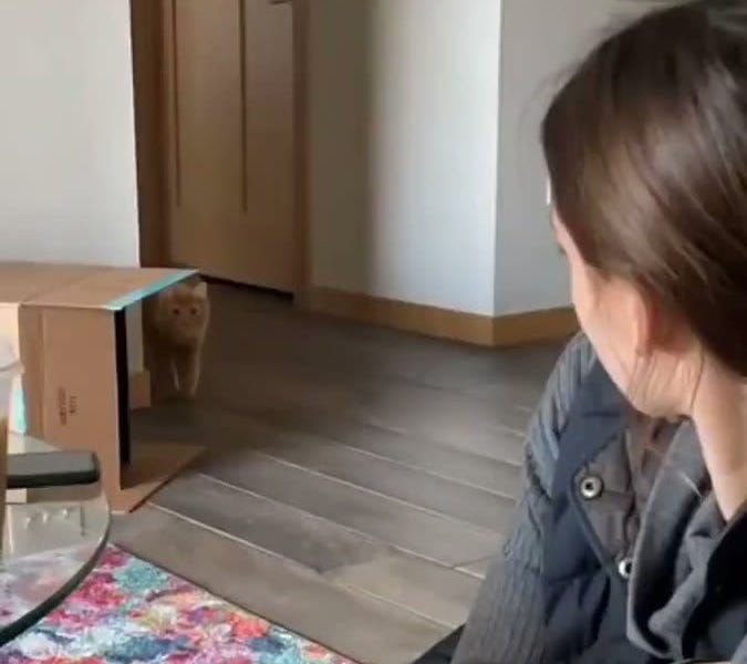 Tuesday Rundown | Stuff Hitting Fans - by VBL - GoldFix