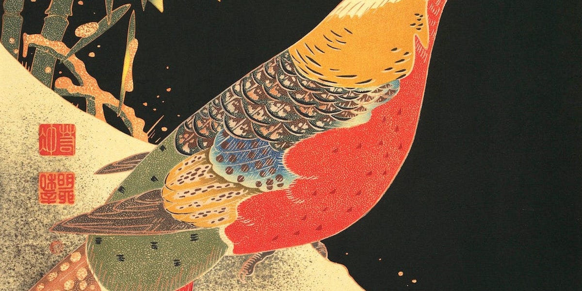 Spark Bird - by Jeremiah Scanlan - Wayfare