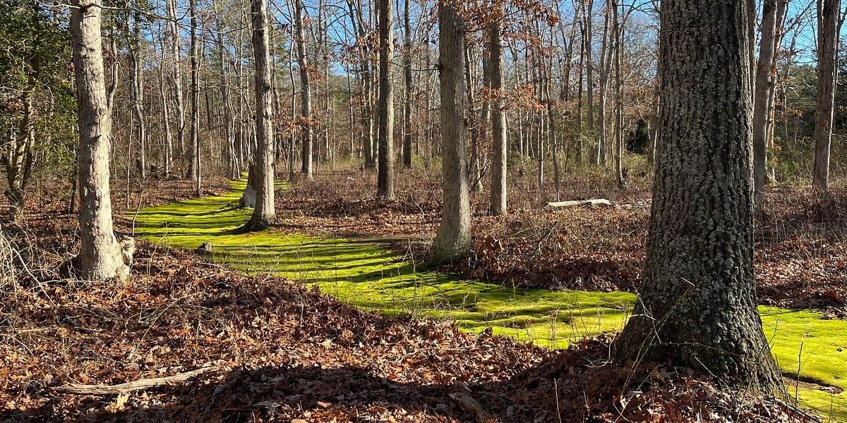 Get the Wheel, Let’s Go For A Ride - by Barb Sobel