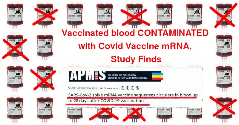 Vaccinated Blood is Contaminated with COVID Vaccine mRNA, Study Finds