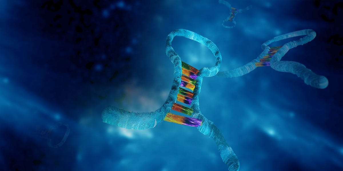 microRNA in Cancer - by Eric Fish, DVM, PhD