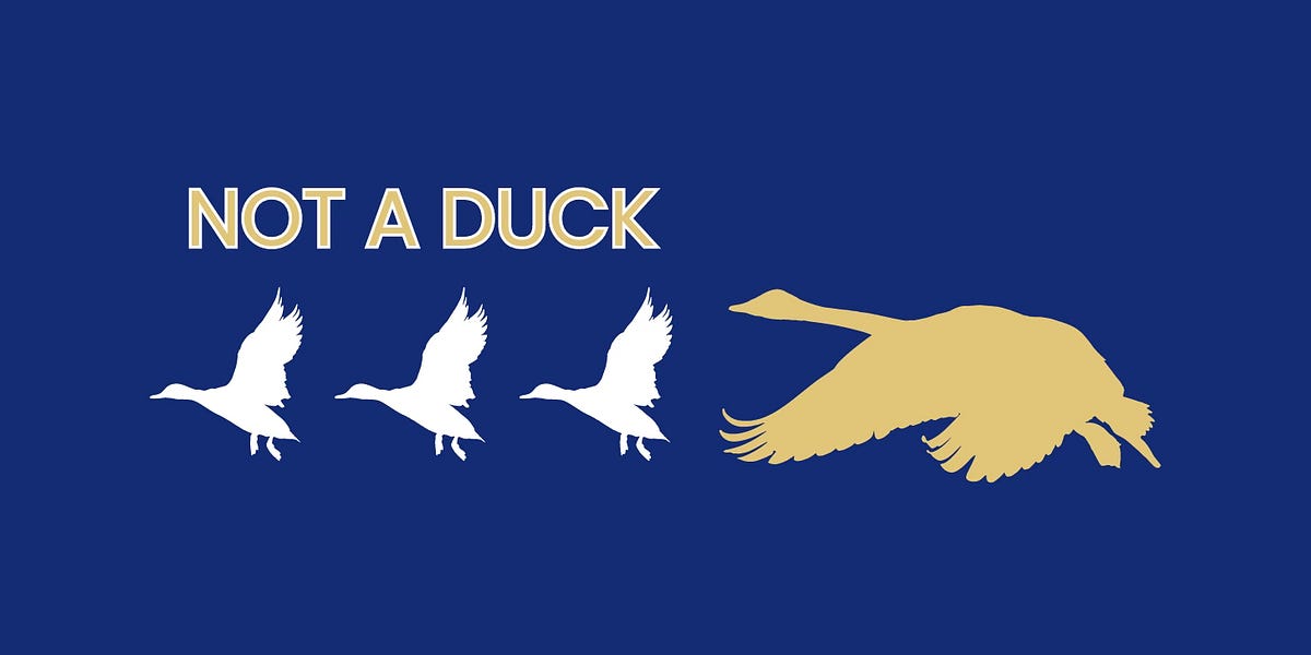 Unmasking Autism Blog: Not a Duck - by Dr. Angela Kingdon