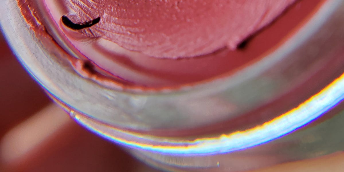 Blush Bloopers, Angry Messages, Vibrator Ads and the Zero Accountability Era