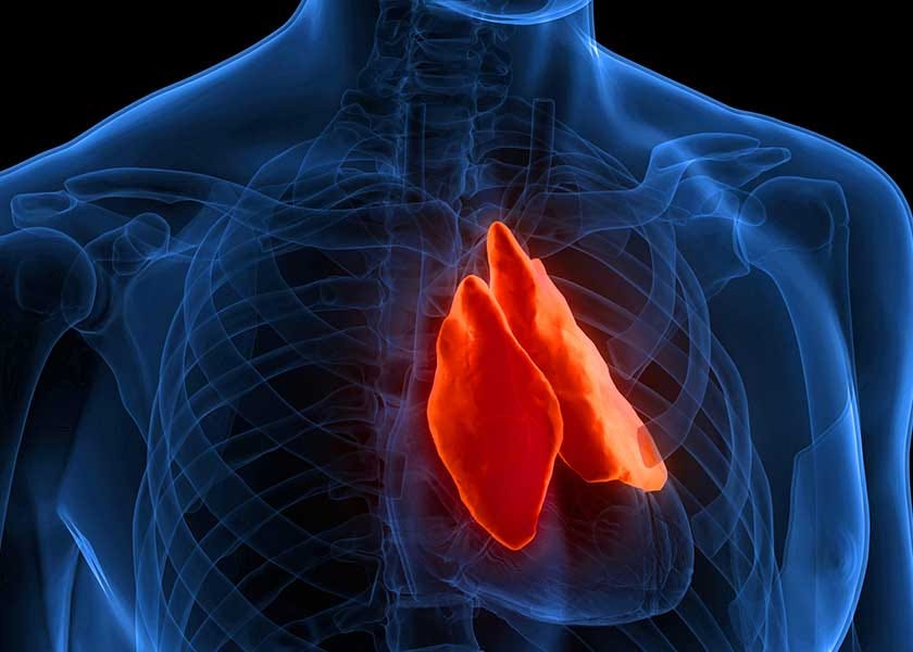 Could Your Thymus Be the Key to Fighting Cancer?