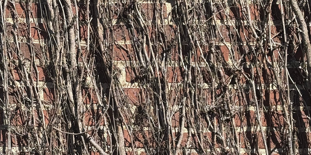 Bleach The Stress From My Bones - by Jacob Bannon