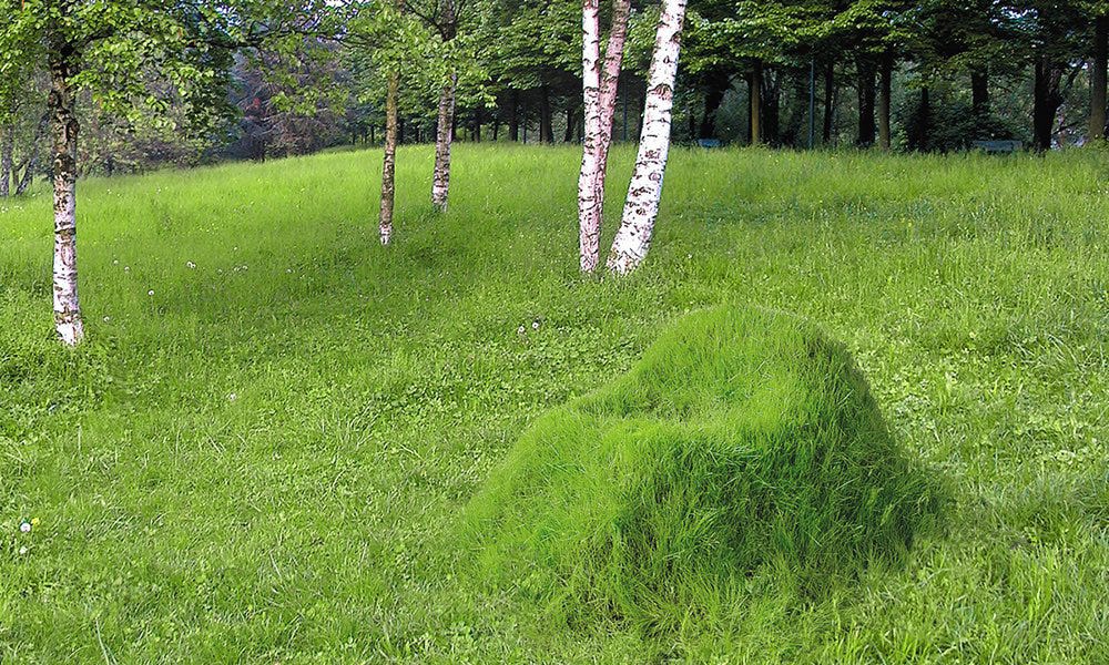 TERRA! the Grass Armchair by Studio Nucleo - by Plant
