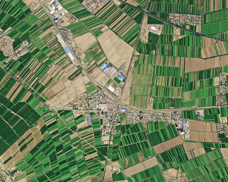 How People Use Planet's Data: Agriculture - by Tim