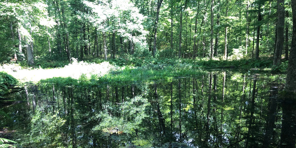 Aliens, Serial Killers, and Hidden Lairs - by Cori Bren