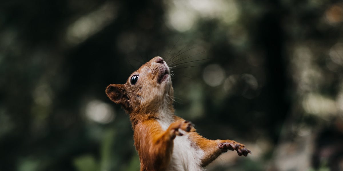 Waking up in a Zombie Apocalypse - by Joe Hunt - RE:MIND