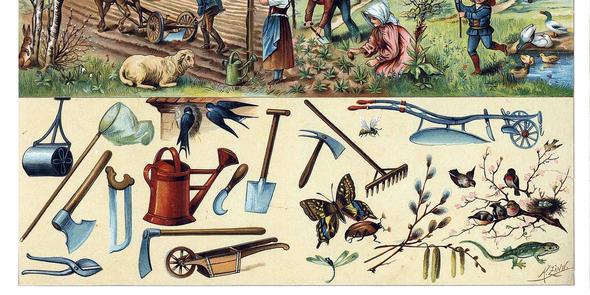 Early Roots of Veganism in 19th Century America: A Pioneering Journey