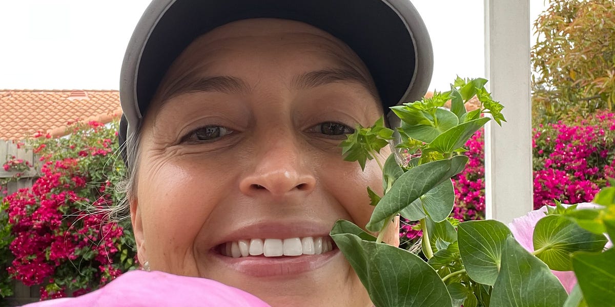 The Peonies are Back - by Maria Hanley - Dream Big