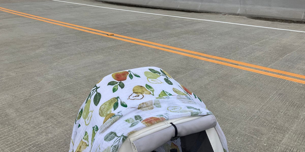 Wildness - by Cyrus Buffum - Project Notes