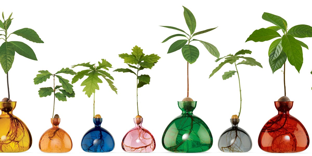 The List #01 - by Pandora Sykes - Books + Bits