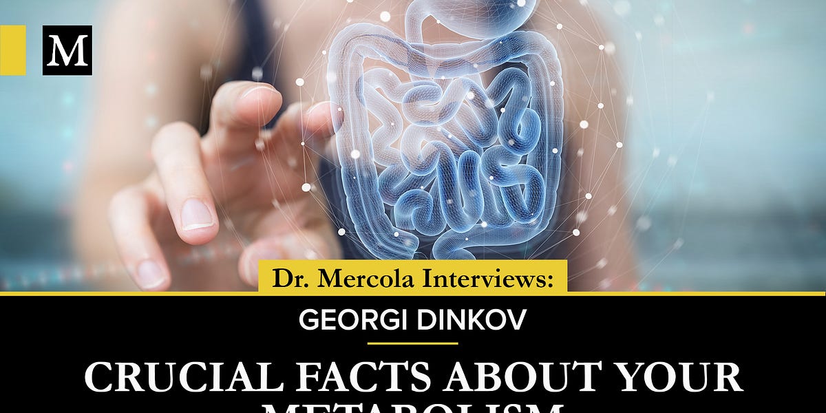 Crucial Facts About Your Metabolism - Discussion Between Georgi Dinkov & Dr. Mercola