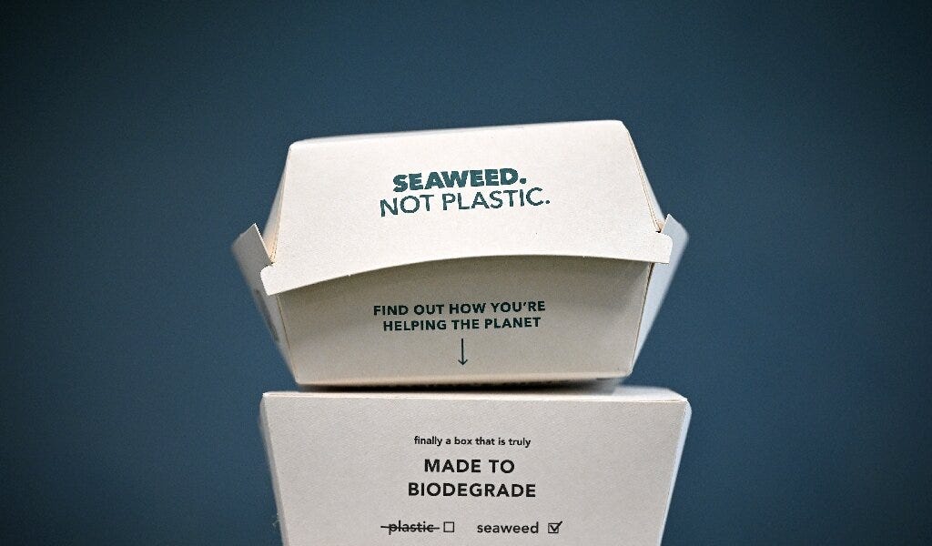 3rd Edition - by Delaney Demark - Seaking Blue