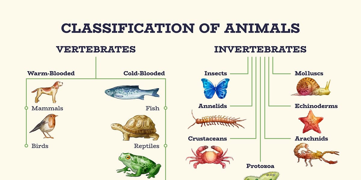 Object-Oriented Brain Rot - by Sir Whinesalot