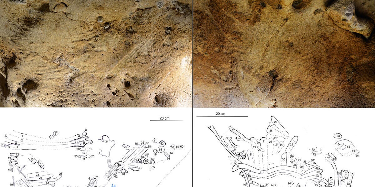 Unveiling the Artistic Side of Neanderthals: A Glimpse into Their ...