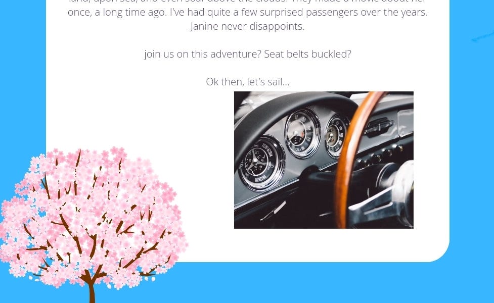 Starlight Compass - by Maryellen Brady 💗📚