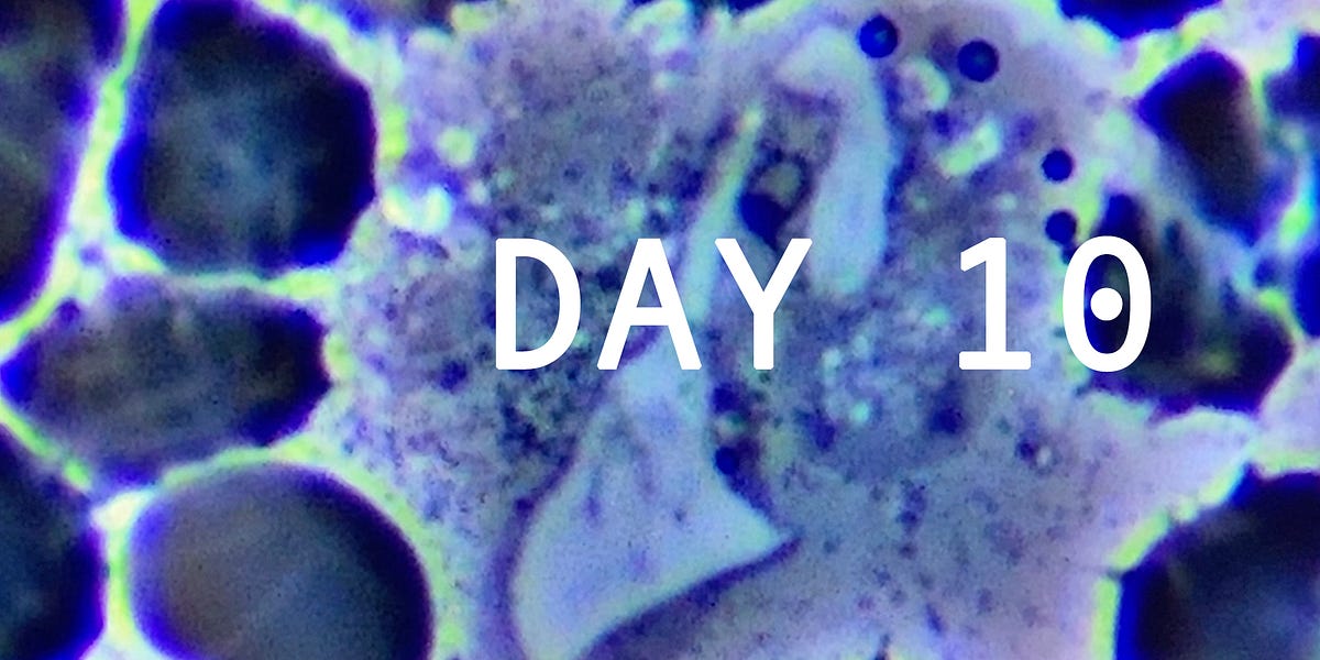 Day 10 in the Life of Dead Blood of a Targeted Individual